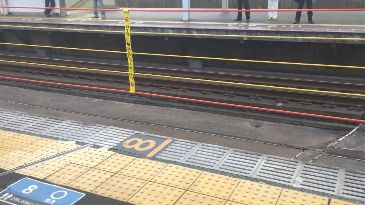 In the space of two days, two blind people have died at Japan Railway ...